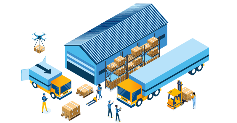 Distribution (Free Scorecards)